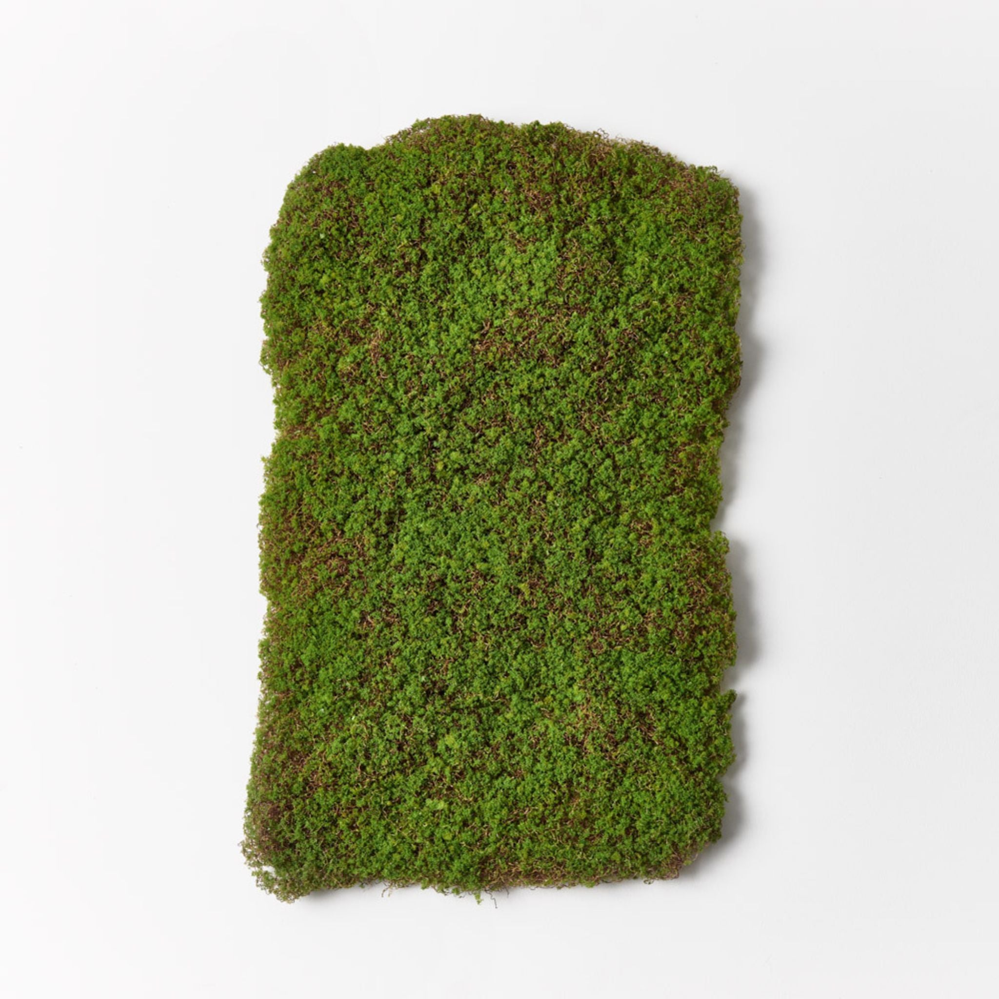 Artificial Moss Sheet – Gallus & Rea